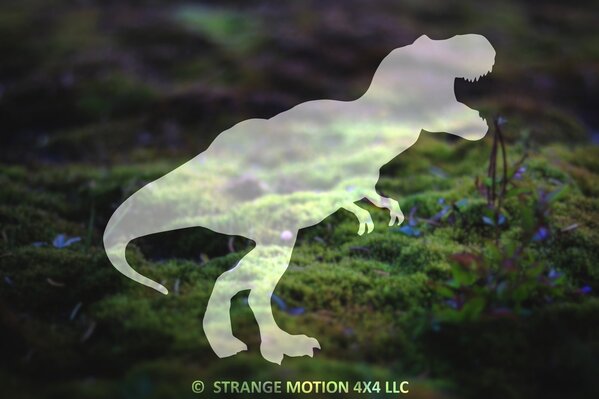 Strange Motion Limited Co - T-Rex Vinyl Decal | 67 - Military & First ...