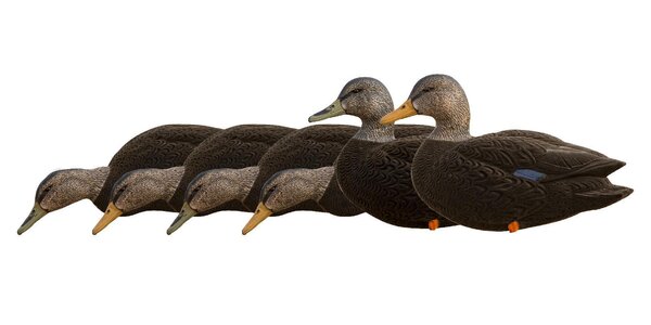 Avian-X - AXF Full-Body Black Ducks Waterfowl Decoys Fusion Pack ...