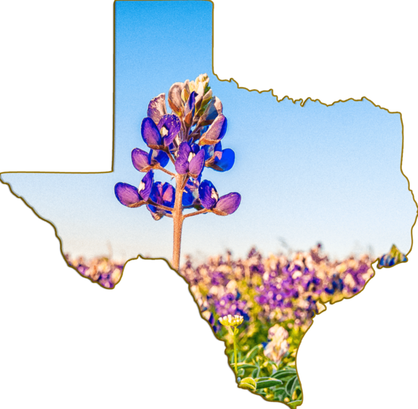 Wimberley Puzzle Company - Bluebonnet | Texas-Shaped Magnet - Military ...
