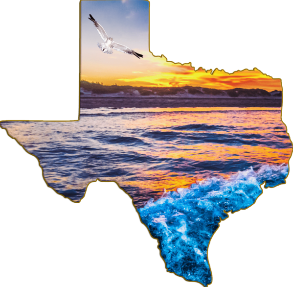 Wimberley Puzzle Company - Padre Island Sunset with Bird | Texas-Shaped ...